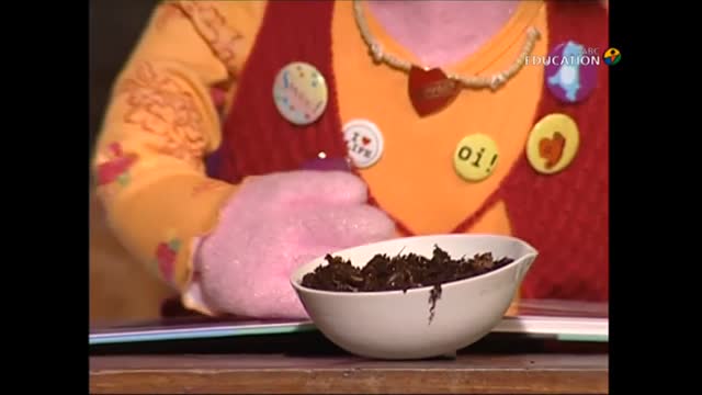 SABC+ Catch Up - SABC Education - Fun Factory S1