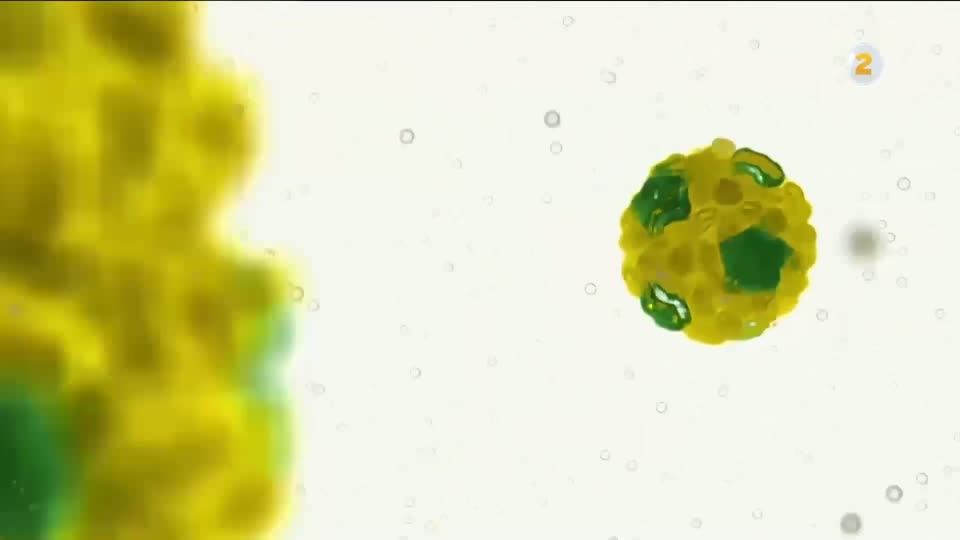 SABC+ Catch Up - SABC 2 - Music And The Spoken Word