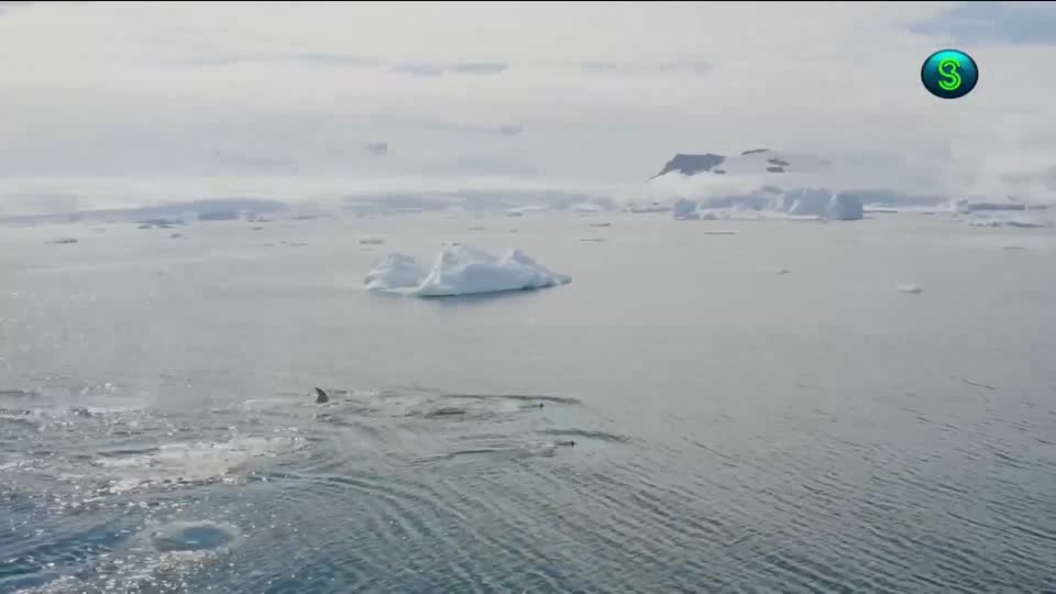 SABC+ Catch Up - S3 - Dr. Seuss' The Lorax