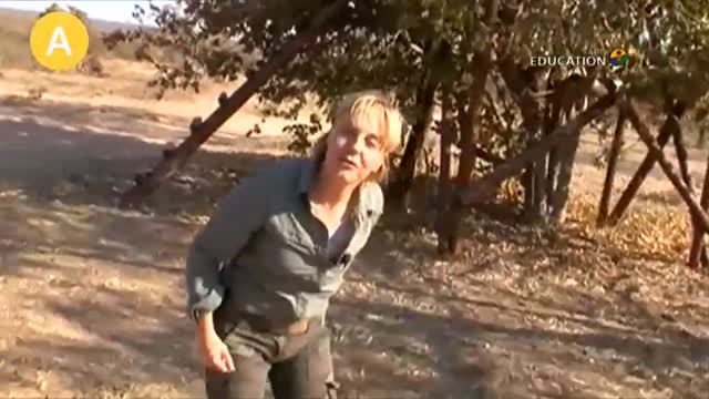 SABC+ Catch Up - SABC Education - Rands With Sense S2