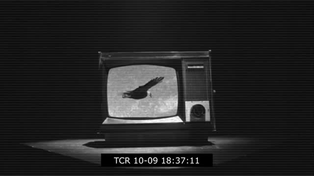 SABC+ Catch Up - SABC Lehae - Ukhozi Fm Tv 2025/2026