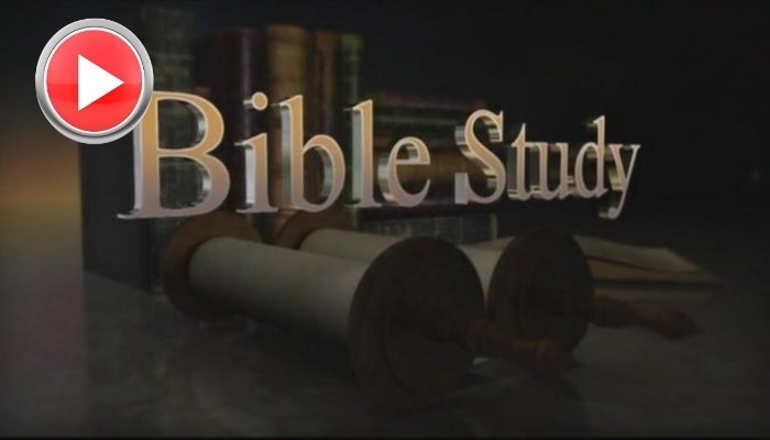 Revelation TV : Shows