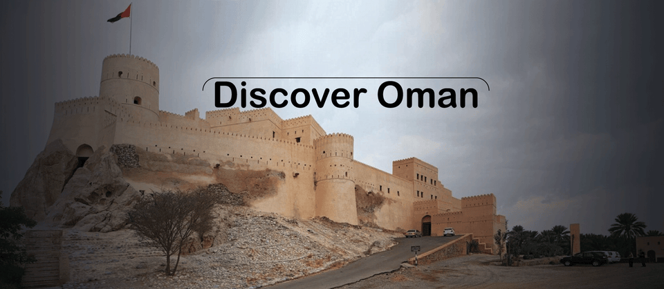AYN TV - Discover Oman