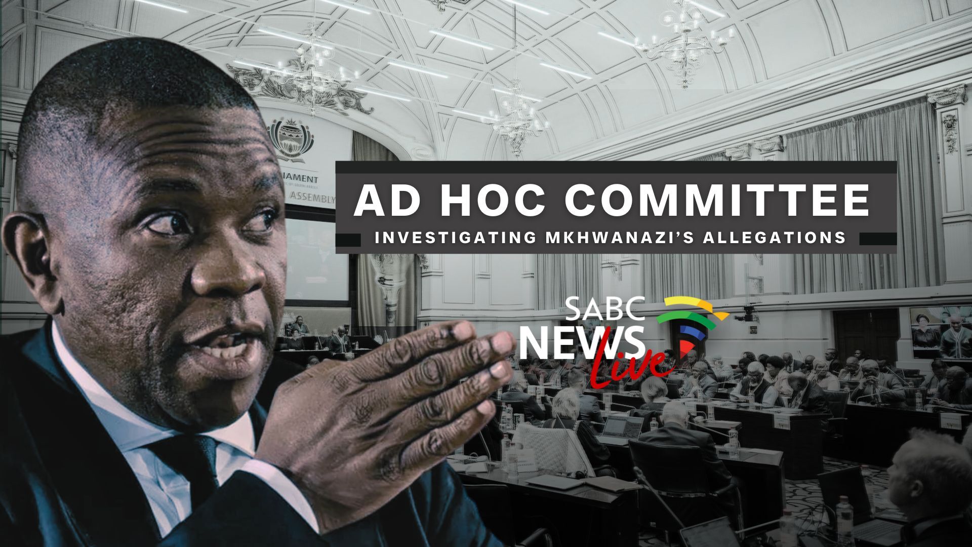 SABC+ Parliament Ad Hoc Committee - Season Season 1